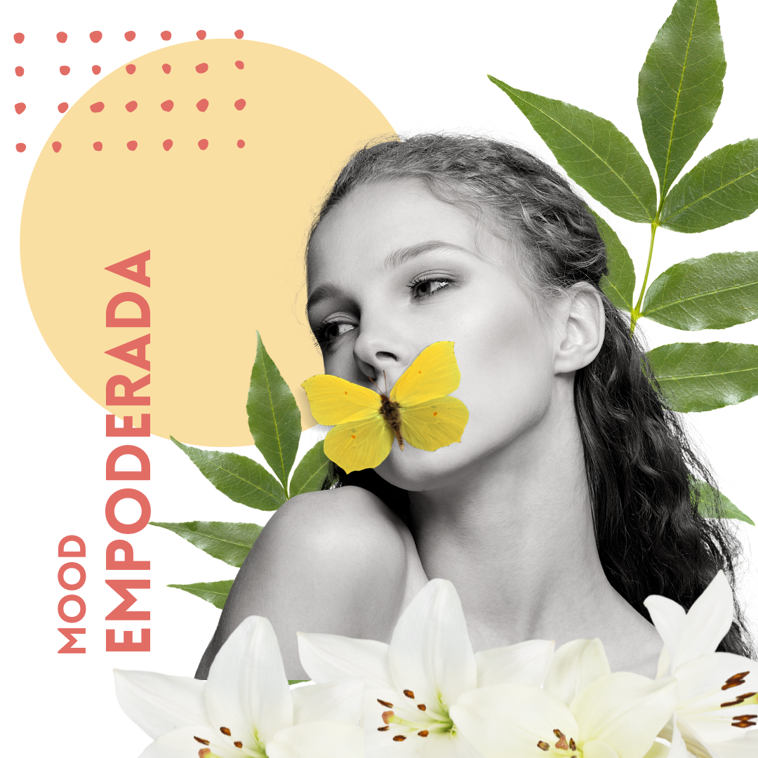 Designers Canva - Aprenda a fazer designs profissionais com o Canva